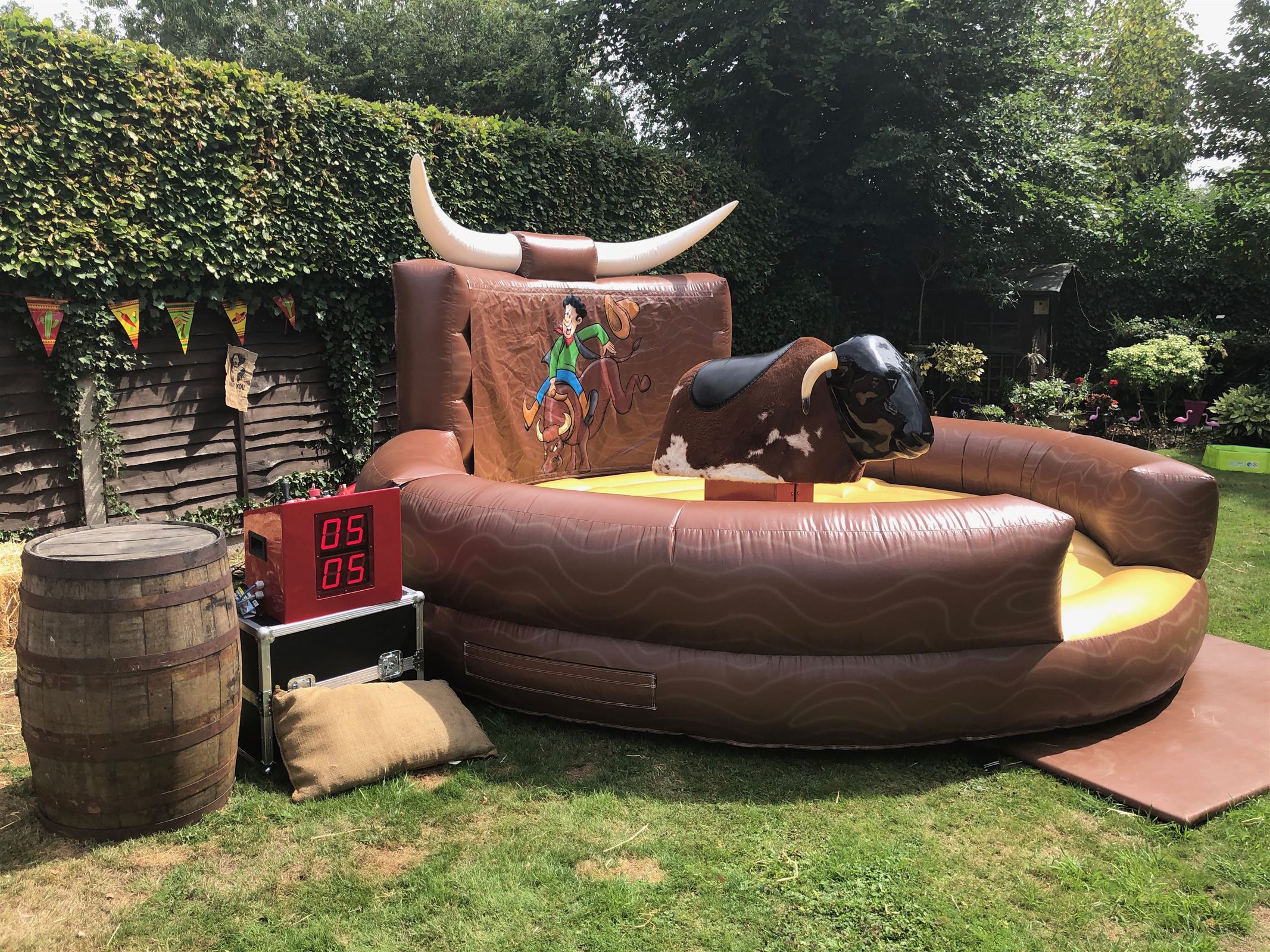 Rodeo Bull Hire | London Cambridge Northampton Leicester UK