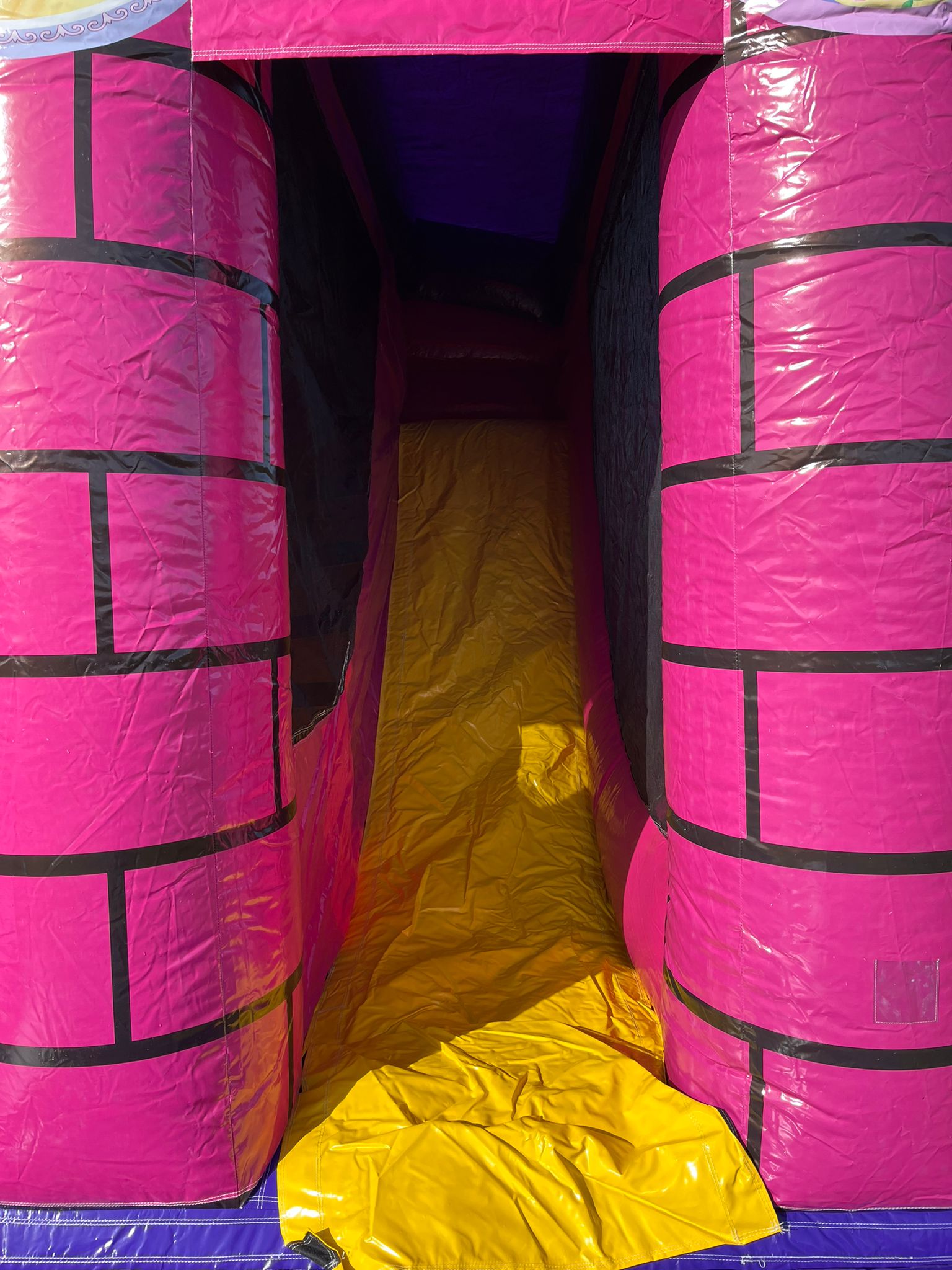 16ft x 18ft Princess Castle 3D Combi - Bouncy Castle Hire in Mayo ...