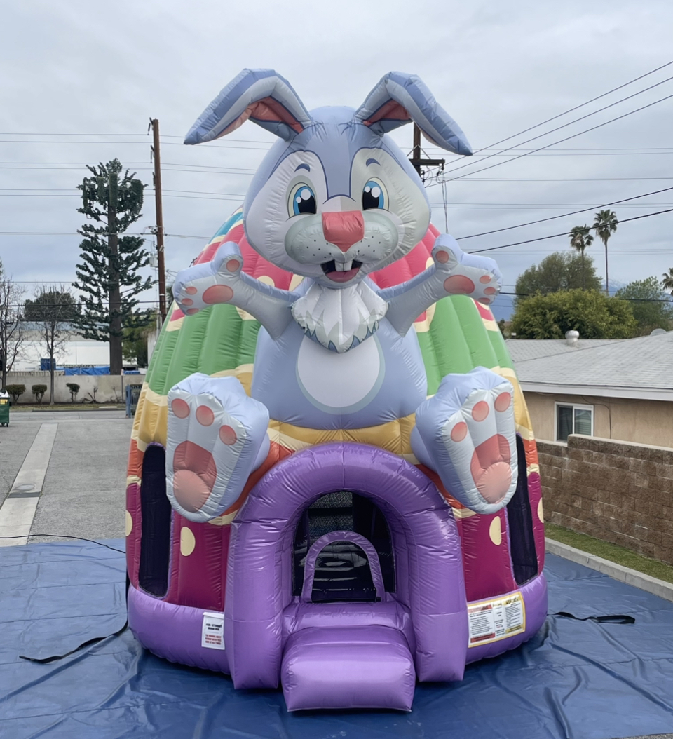 "Jumpers & Bounce Houses | Little Rascals Jumpers Party Rentals"