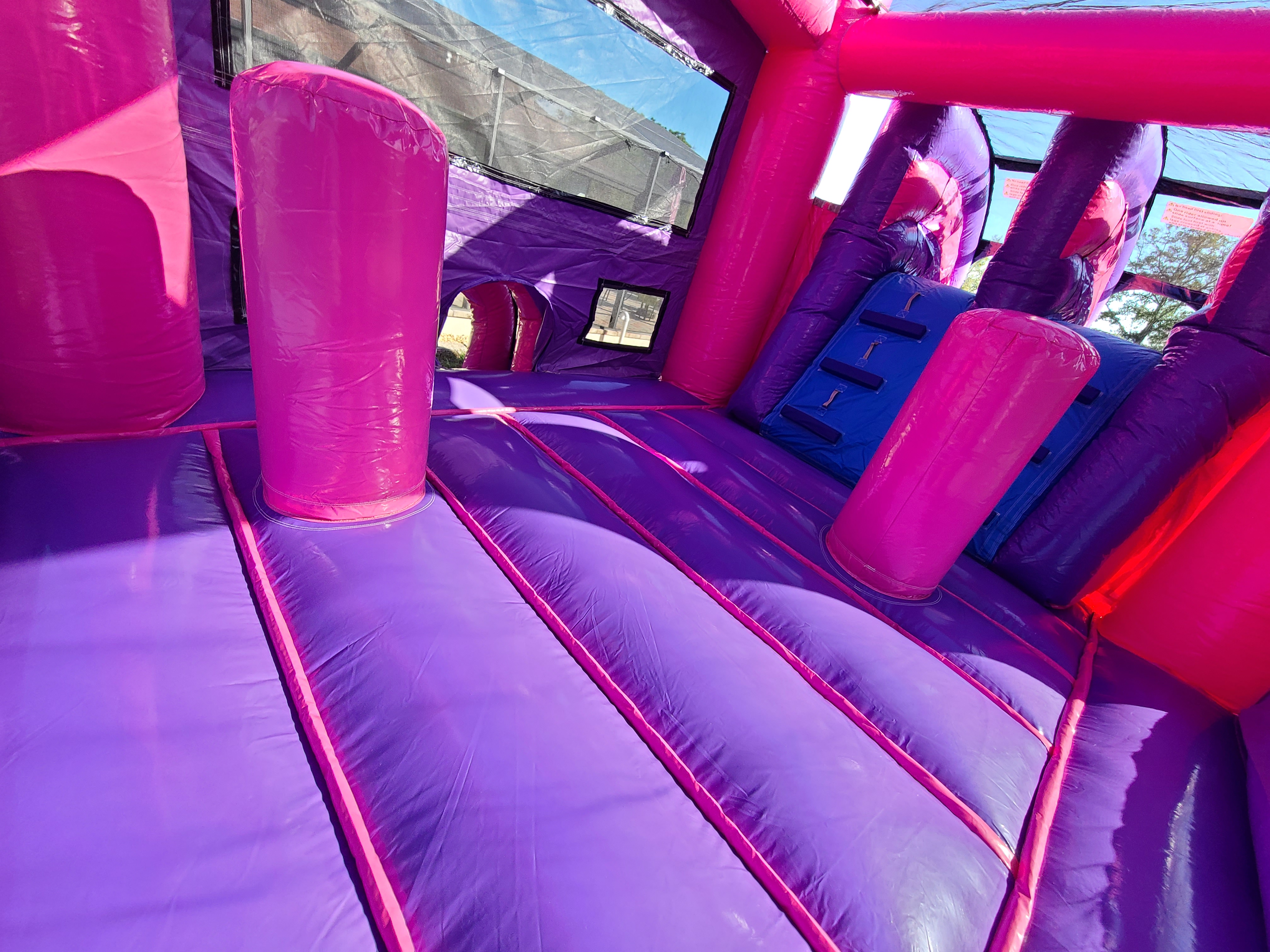 Pink Combo Double Lane Wet/Dry - Party and Inflatable Rentals in ...