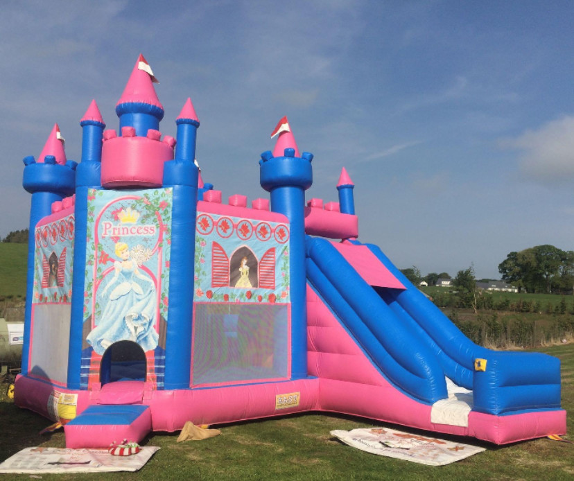 Large Princess Castle with Slide and Basketball Hoop - Bouncy Castle ...