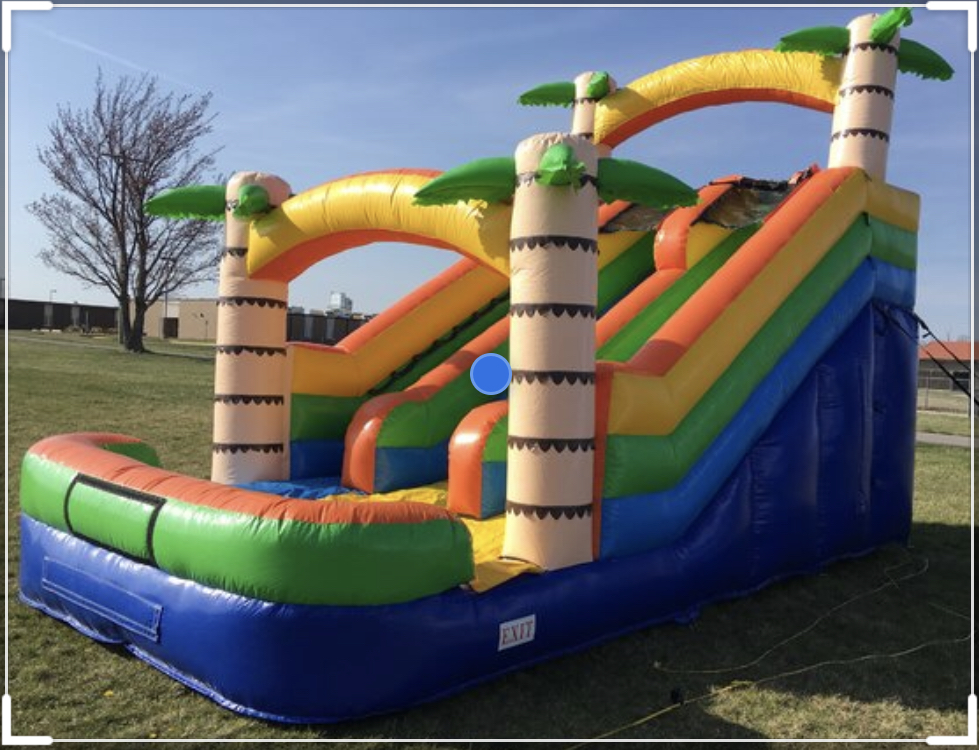 ADVENTURE ISLAND DUAL LANE TROPICAL COMPETITIVE SLIDE WET - Inflatable ...