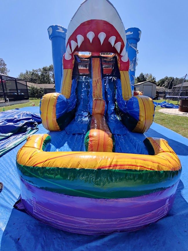 Shark Double Lane Combo Wet/Dry - Party and Inflatable Rentals in ...