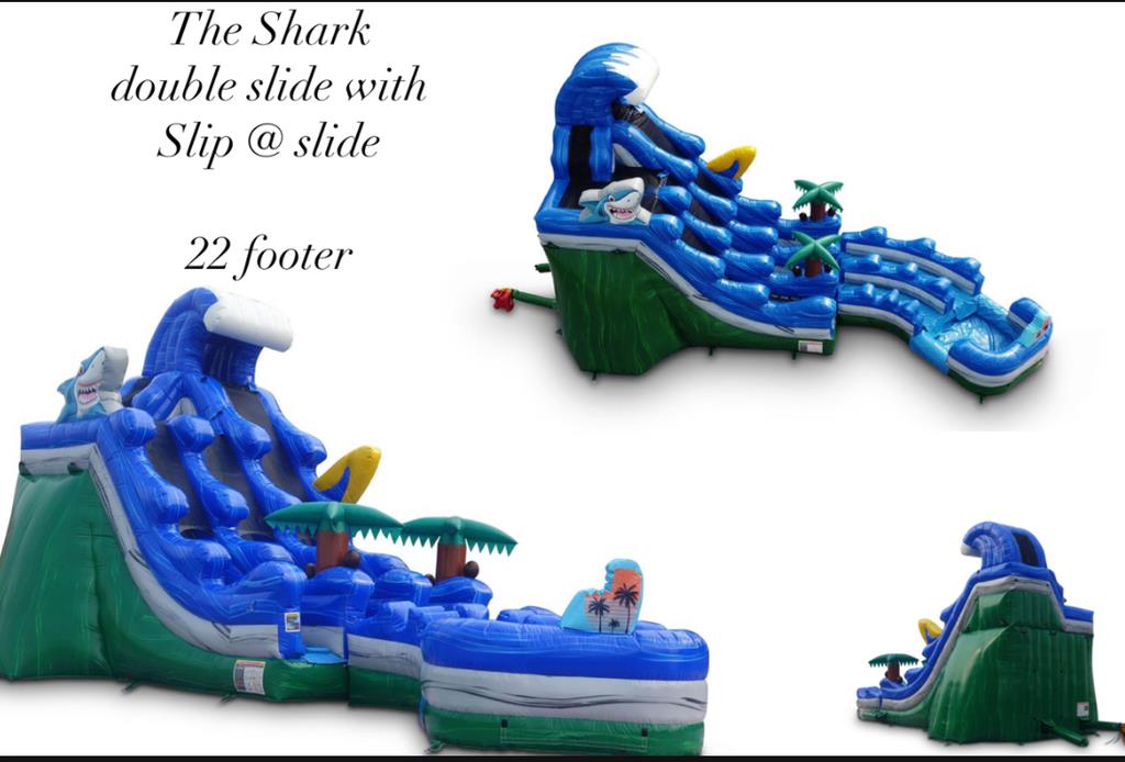 22 Tropical Curve Inflatable Dual Slide Wet/Dry - Hire in Il ...