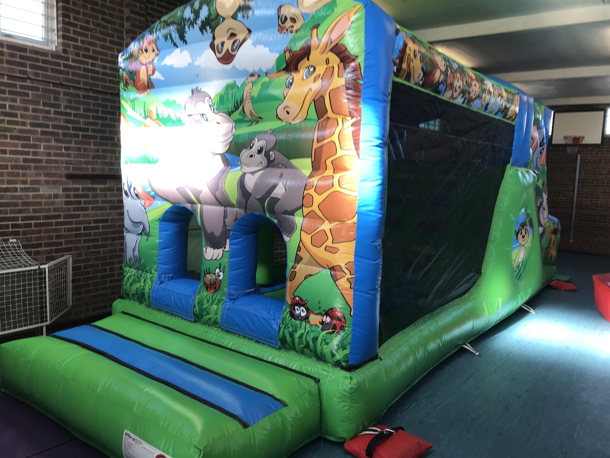 Jungle Fun Run Hire