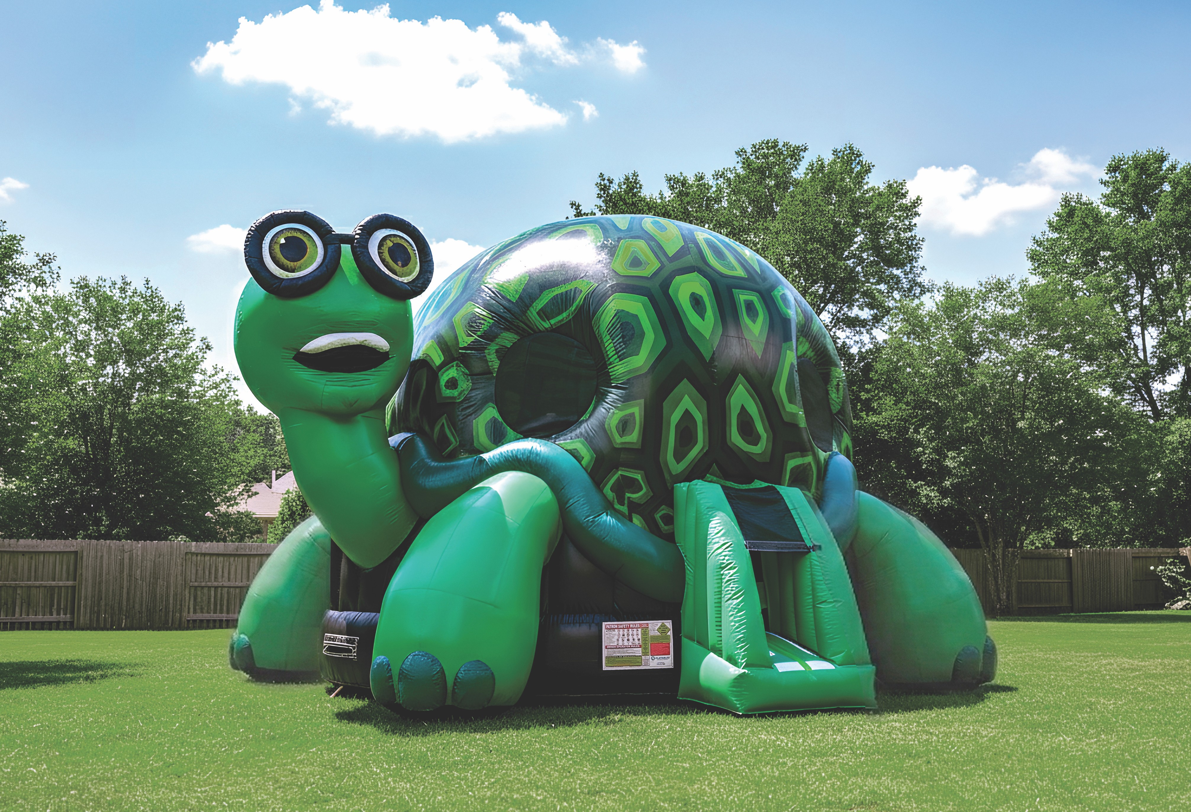 Turtle Bounce House - Rentals in Wisconsion | Blue Sky Inflatables, LLC