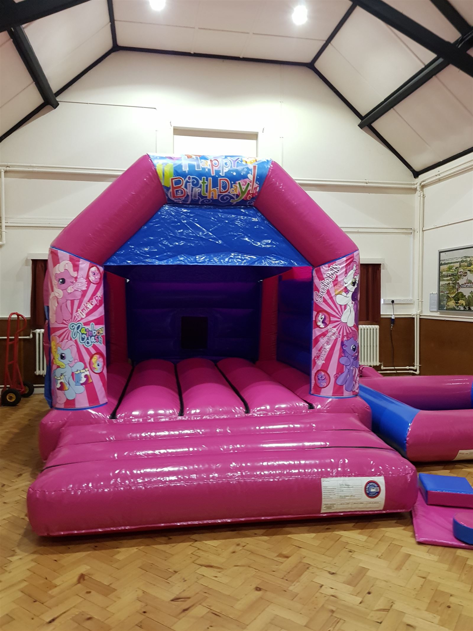 Pink and Blue Bouncy Castle with Party Theme of your Choice - Event ...