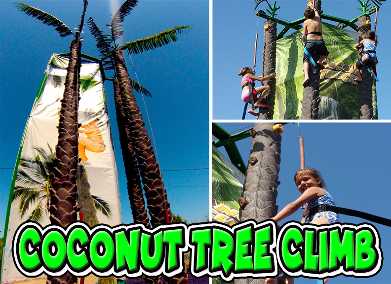 Extreme Rides And Interactive Team Building Games