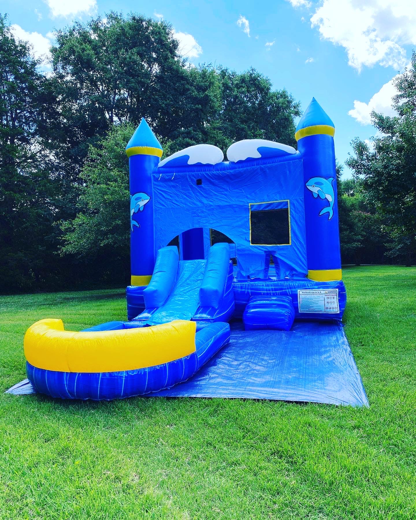 Dolphin Marble Combo (WDC13-D) - Inflatables Sales in USA | SunnFun ...