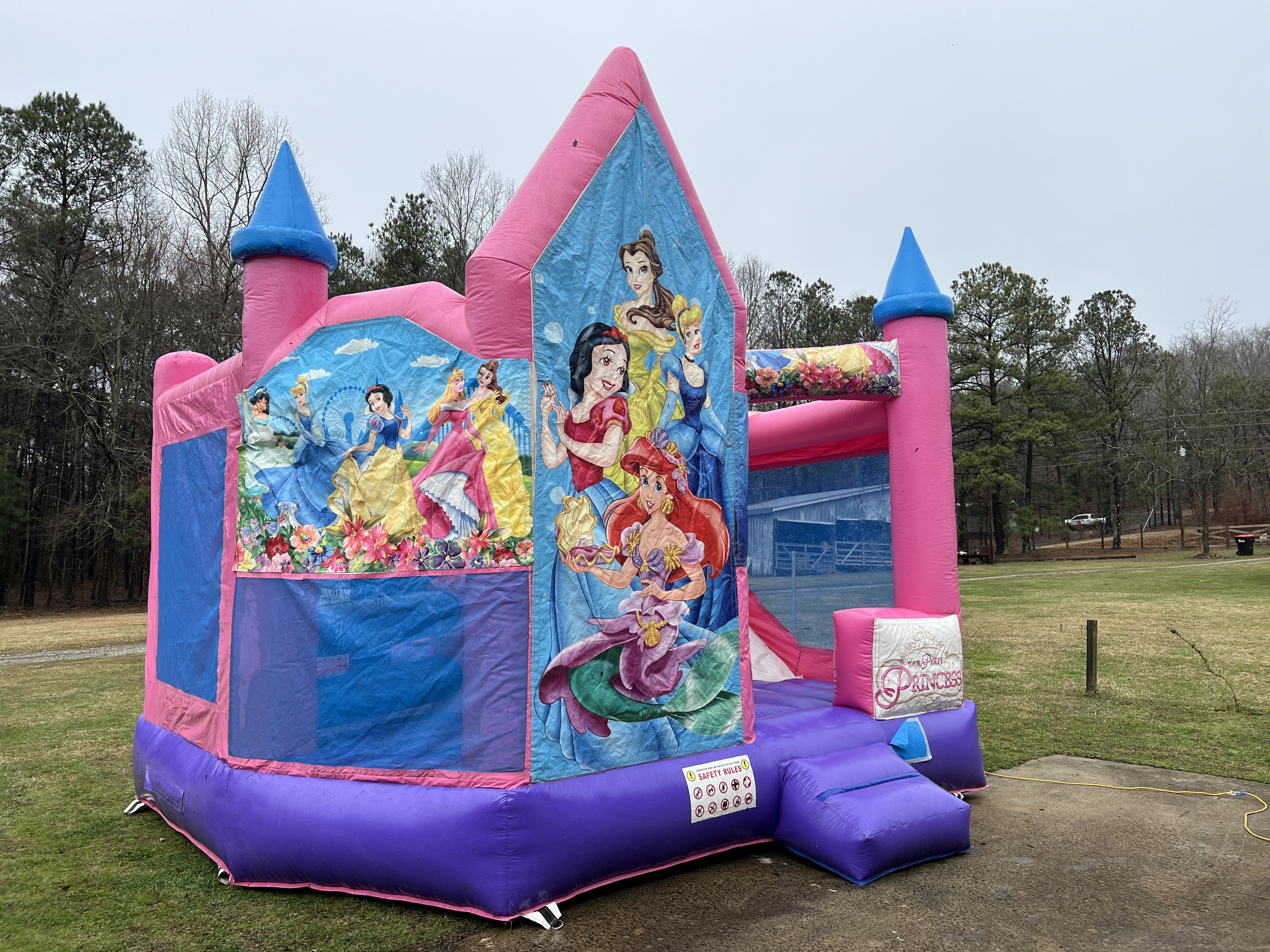 Princess Bounce House Combo - Bounce House Rental in Ga | The ...