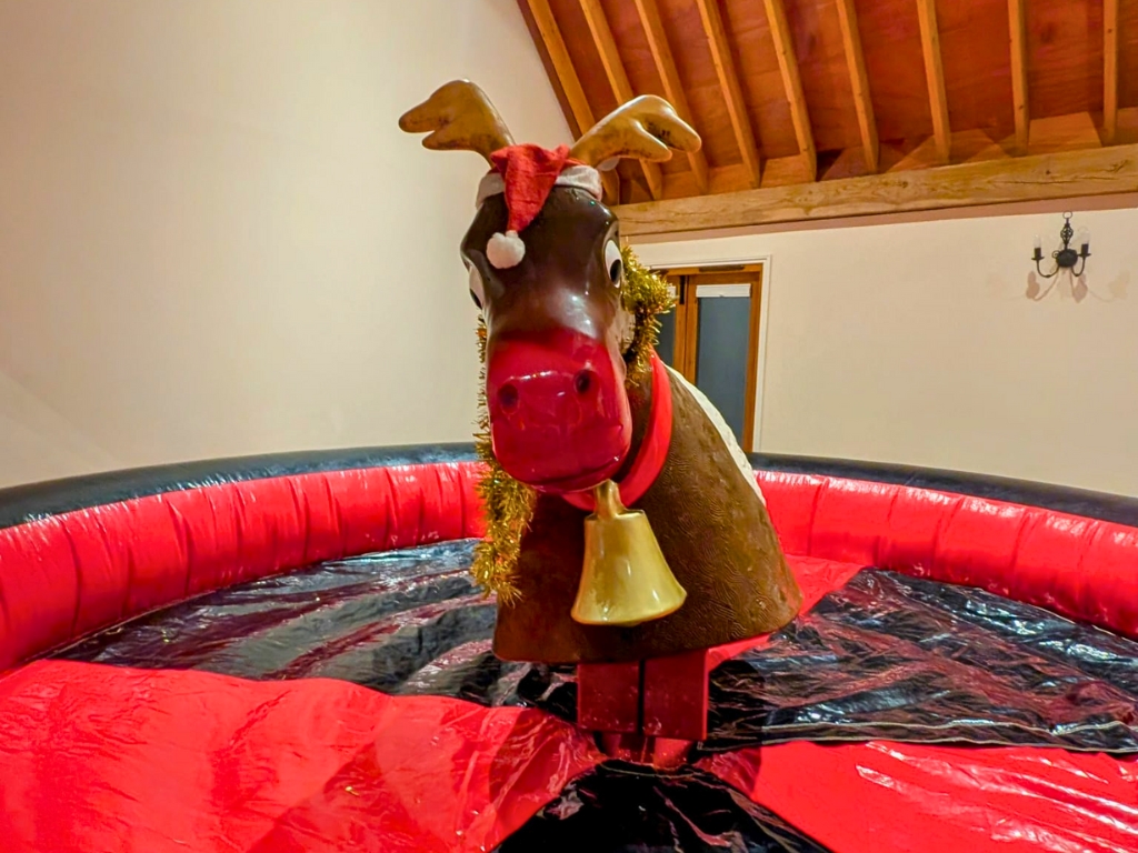Rodeo Reindeer - Inflatable, Bouncy Castle, Entertainment & Party Hire ...