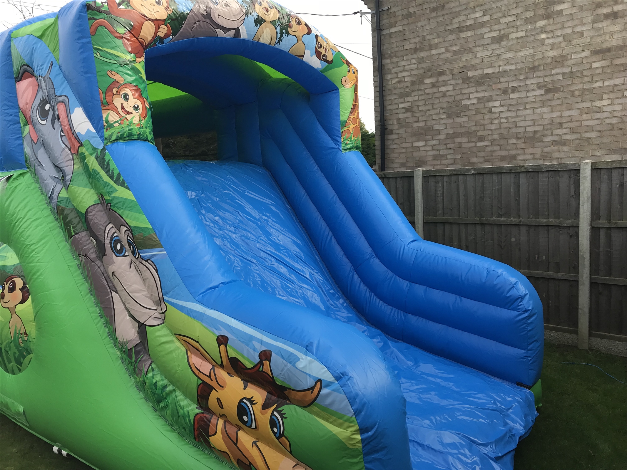 Jungle Fun Run Hire