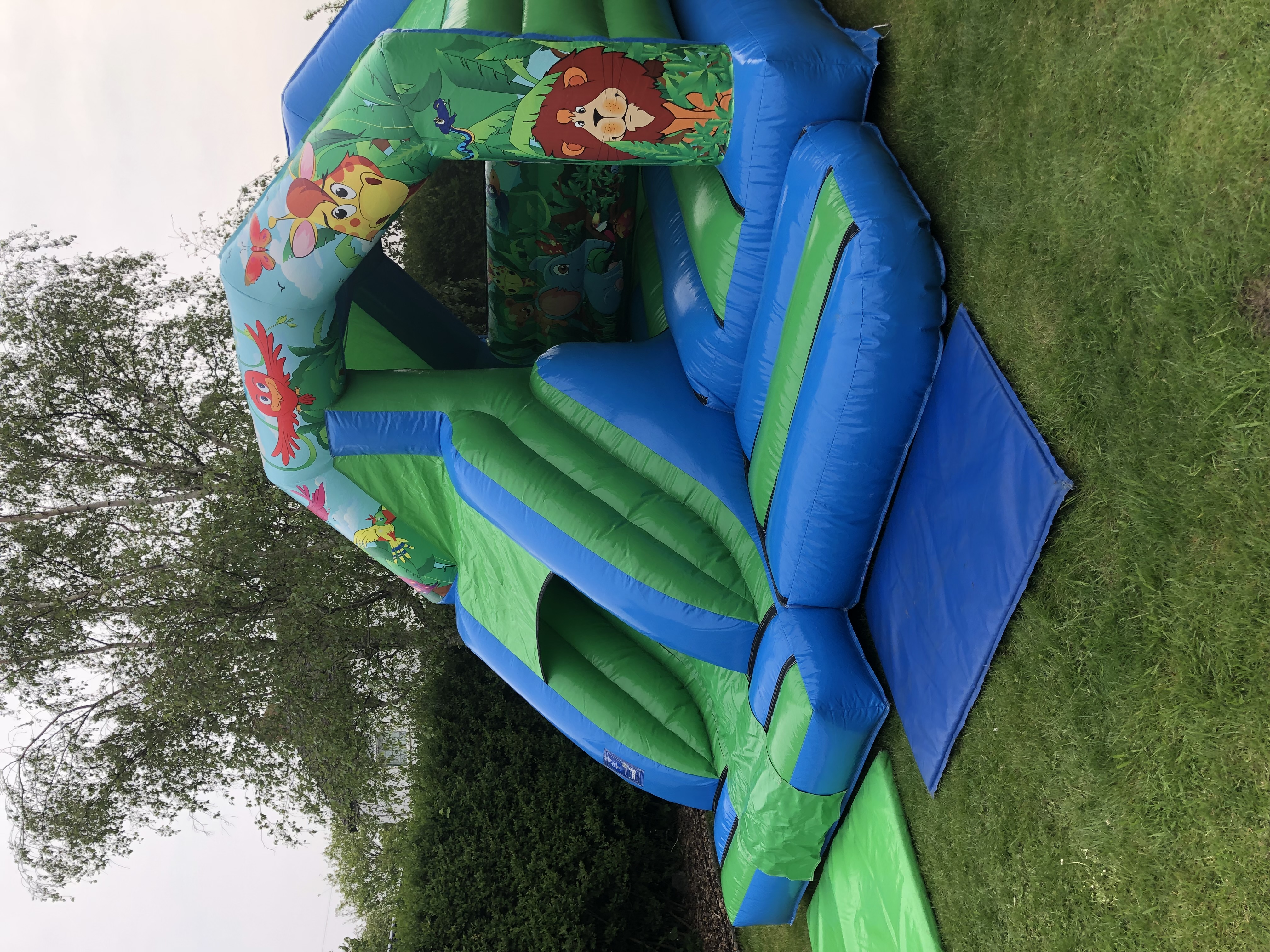 12ft x 15ft Jungle themed bouncy castle Slide - Bouncy Castle Hire in ...