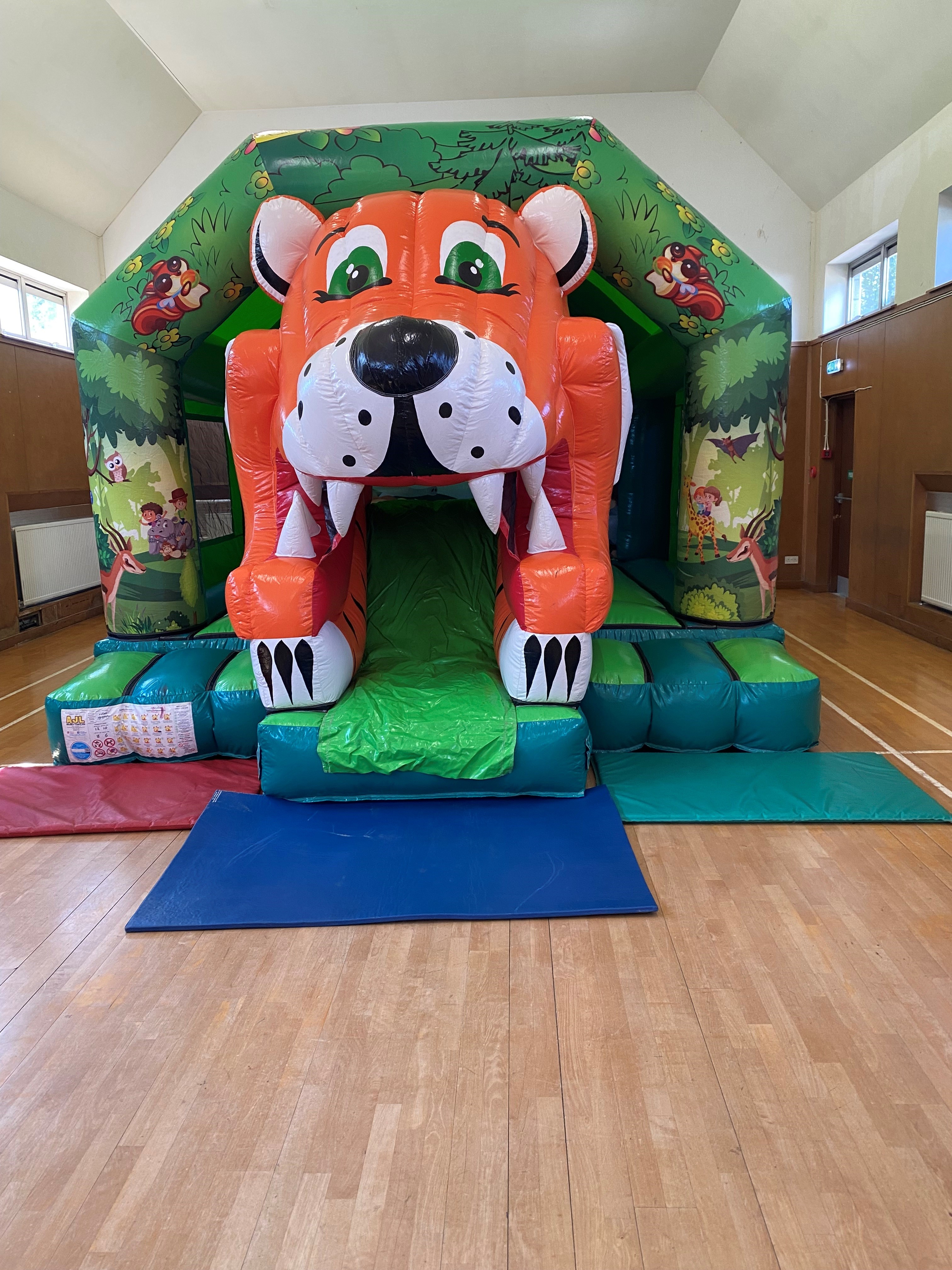 3d Tiger castle with Slide Disco Ready - Hire in Aberdeenshire | PJS Events