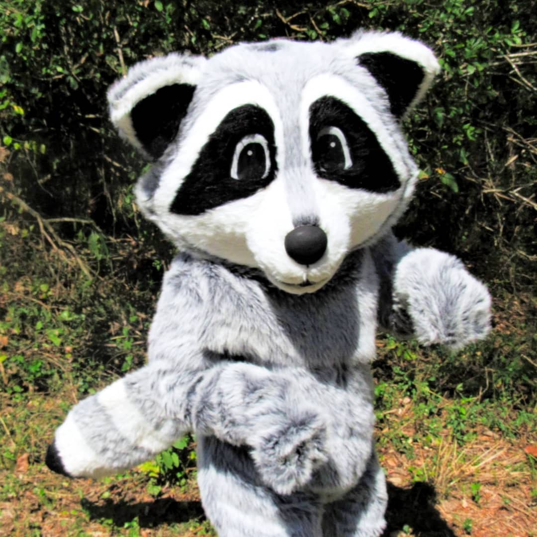 Ricky the Racoon Mascot Rental - Bounce House Rentals, Water Slides ...