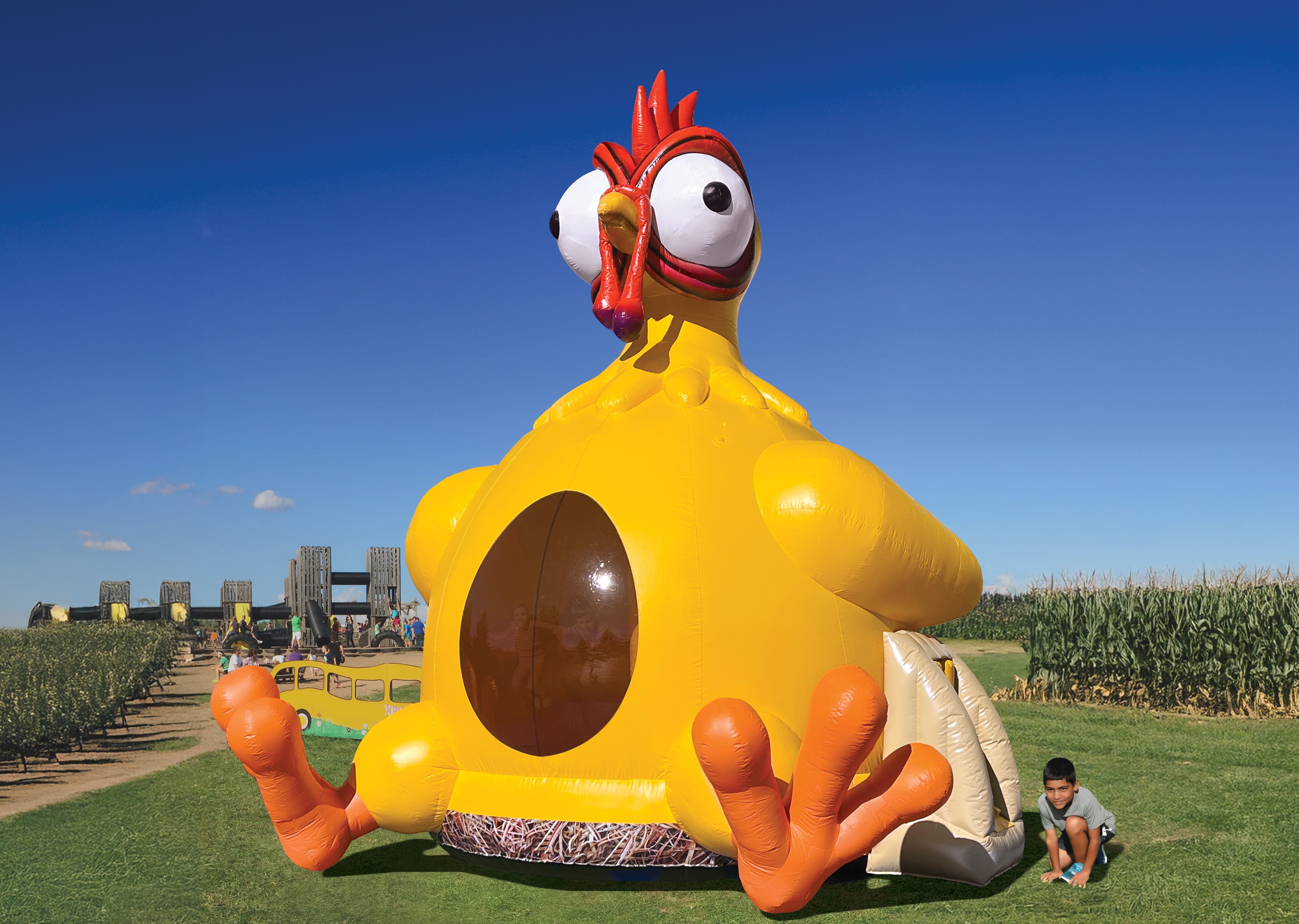 Bounce Houses - Rentals in Wisconsion | Blue Sky Inflatables, LLC