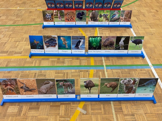 Customised Giant Guess Who Hire Adelaide