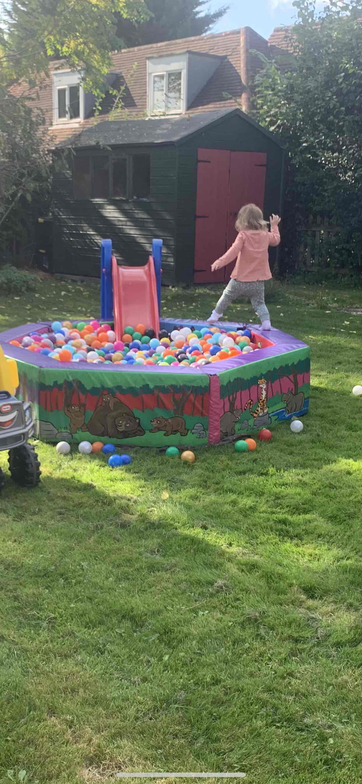 Themed Ball Ponds | Soft Play Hire in London | Dancing Cubs