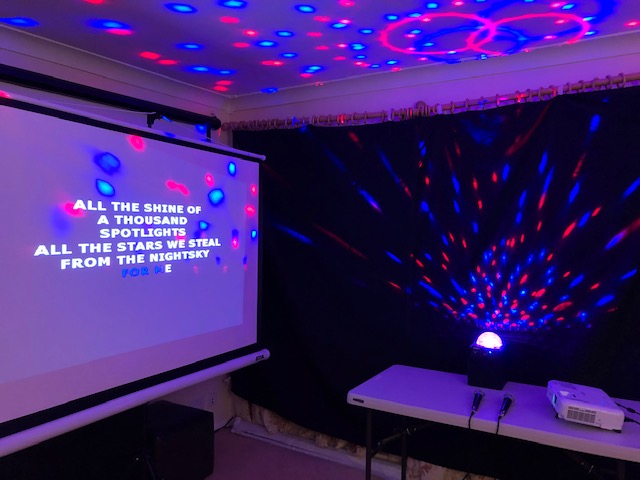 Karaoke Party Package with Karaoke Machine, Projector, Speaker and ...