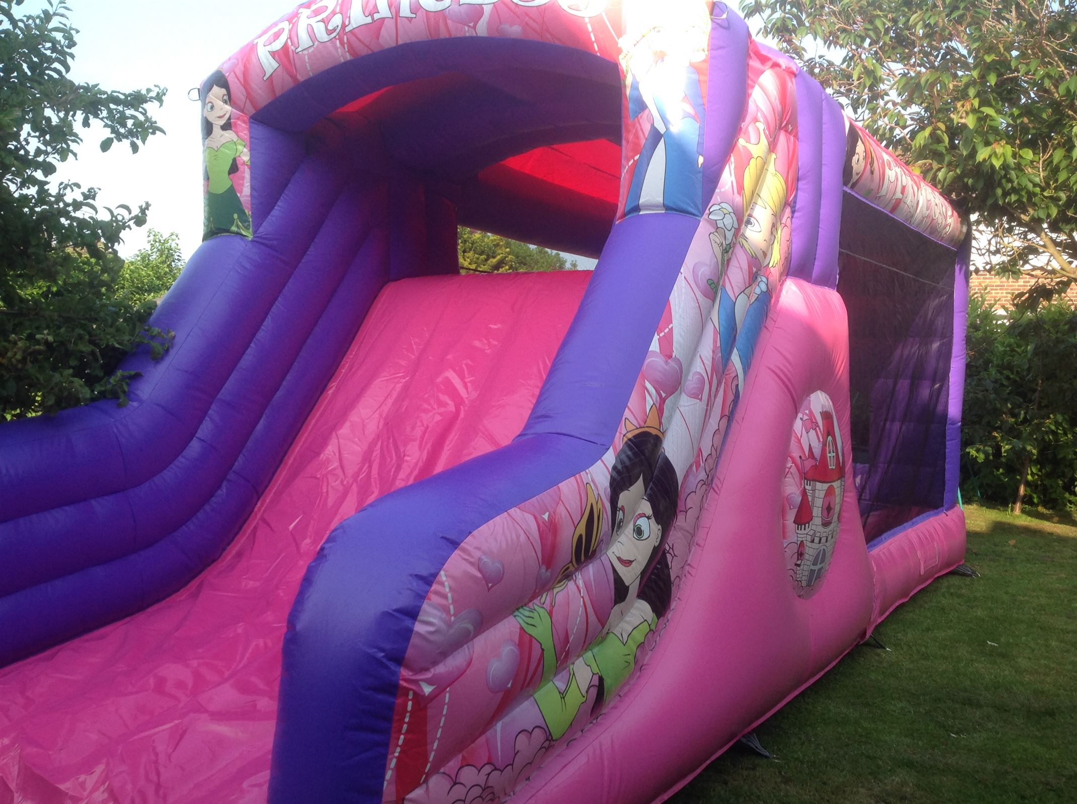 12' X 29' New Pink princess Inflatable fun run. - Bouncy Castle Hire in ...