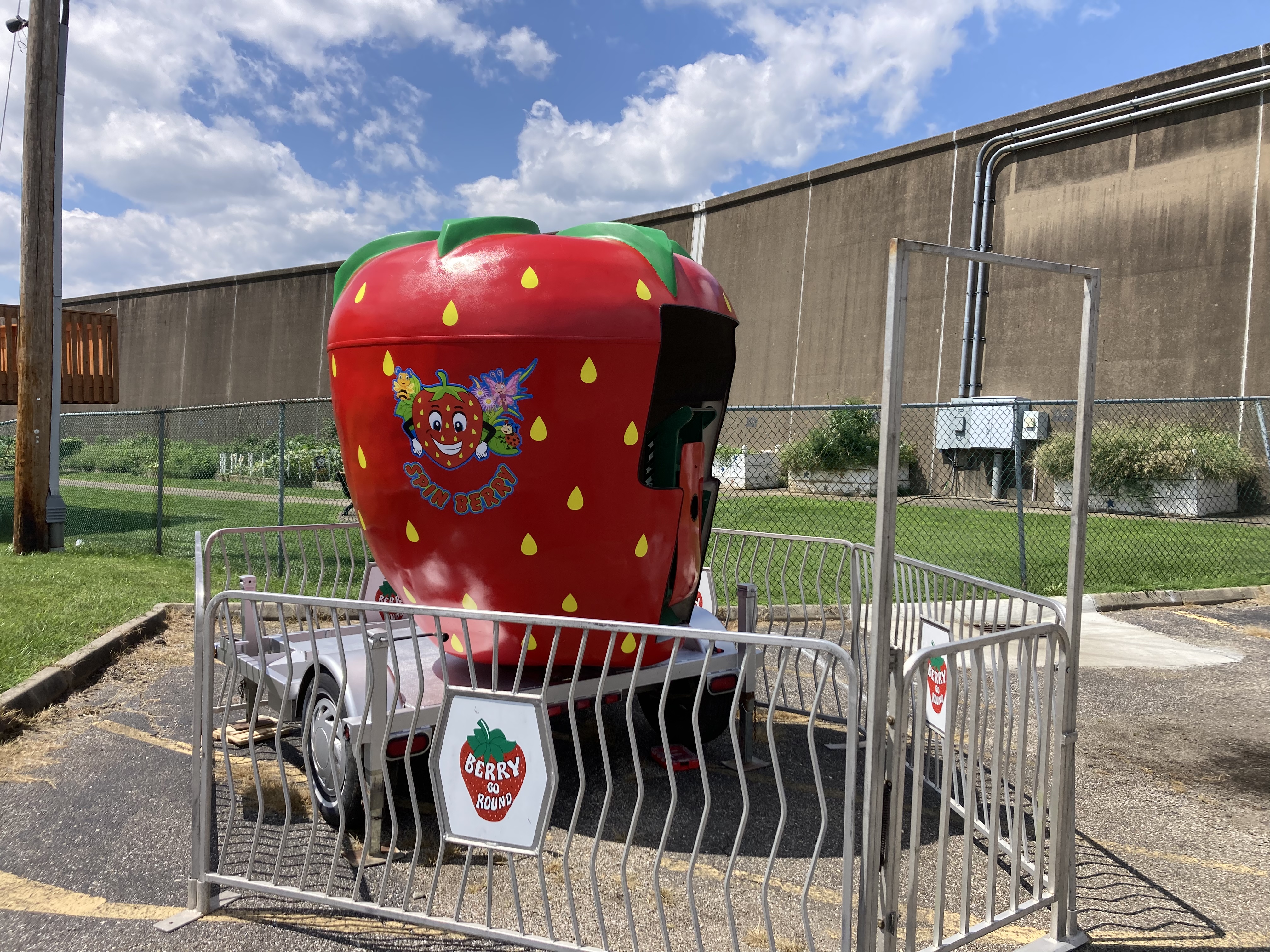 Berry Go Round Carnival Ride Rental