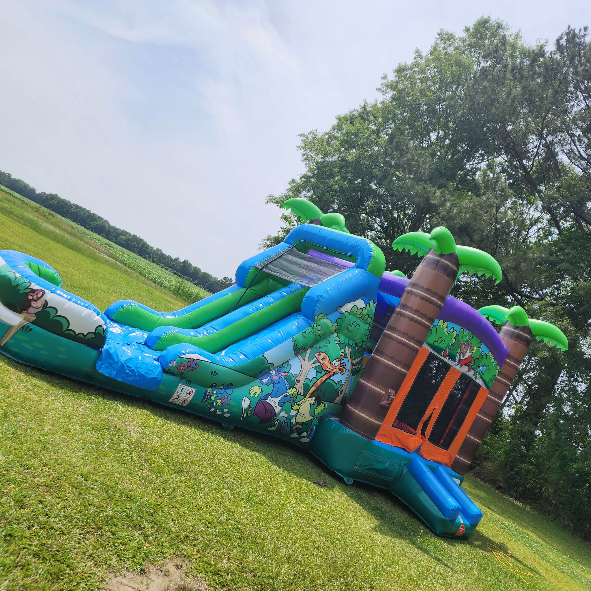Combo Bounce Houses - Hire in North Carolina | Backyard Inflatables ...