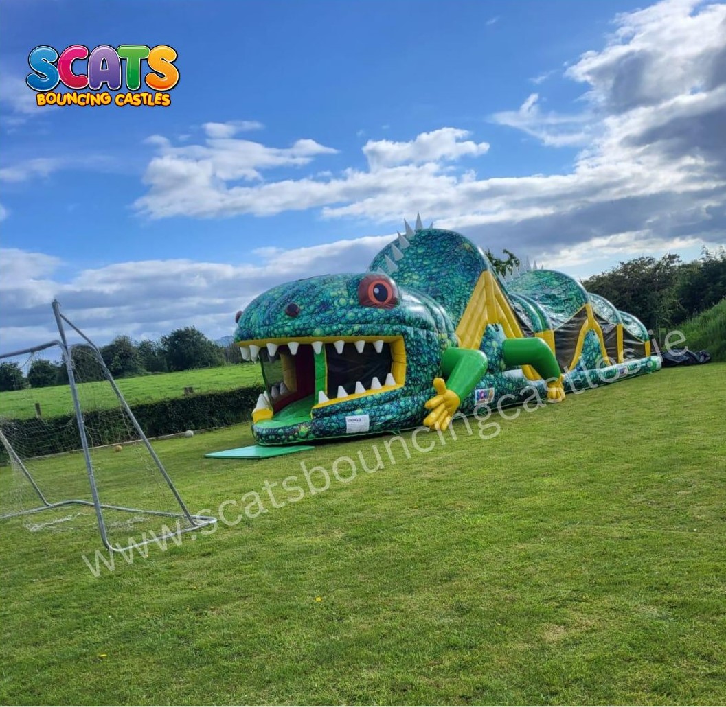 Scaly Design Lizard Obstacle Course - SBC144 - Hire in Wexford | Scats ...