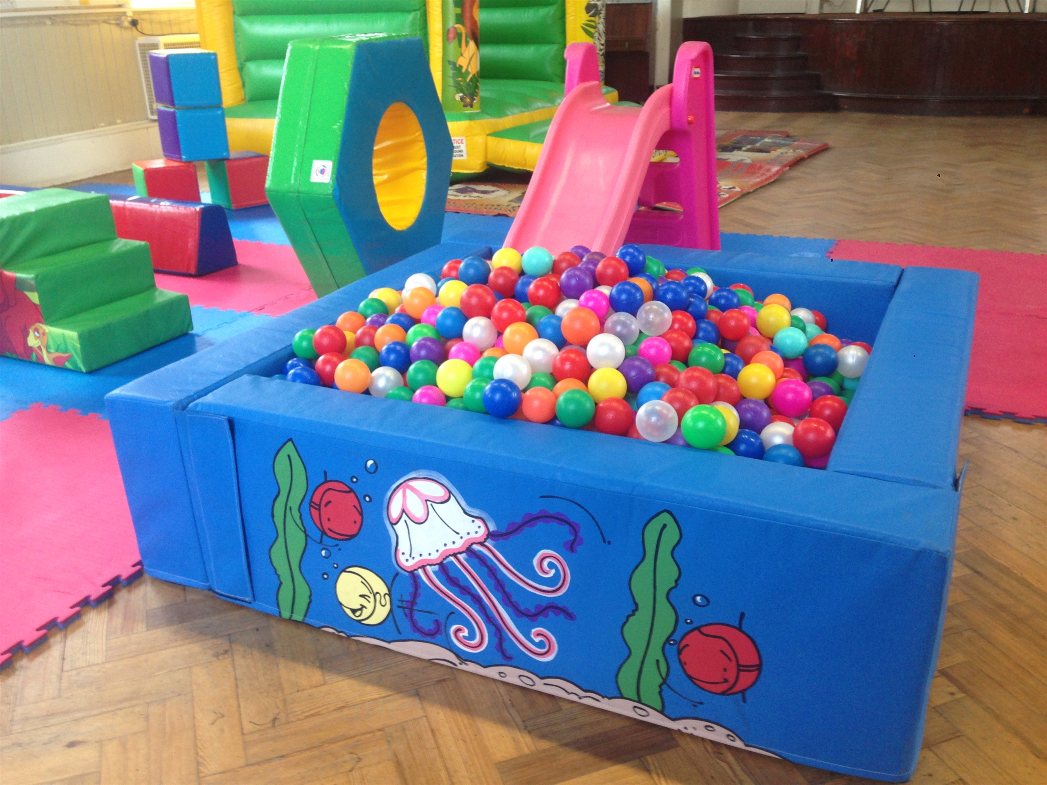 Sea Life Themed Ball Pond for hire London
