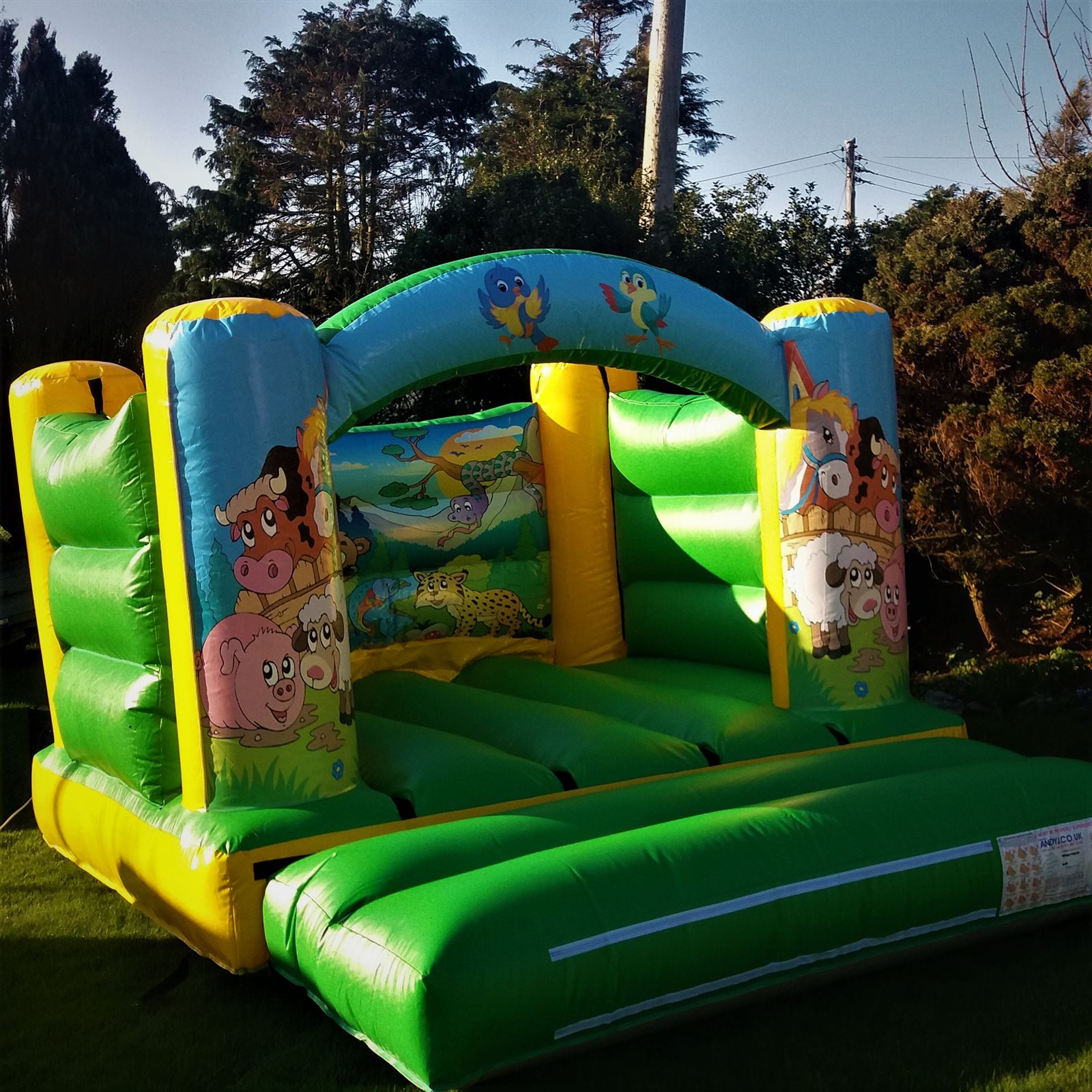 10ftx12ft Animals Castle - Bouncy Castle Hire, Inflatable Game Hire in ...