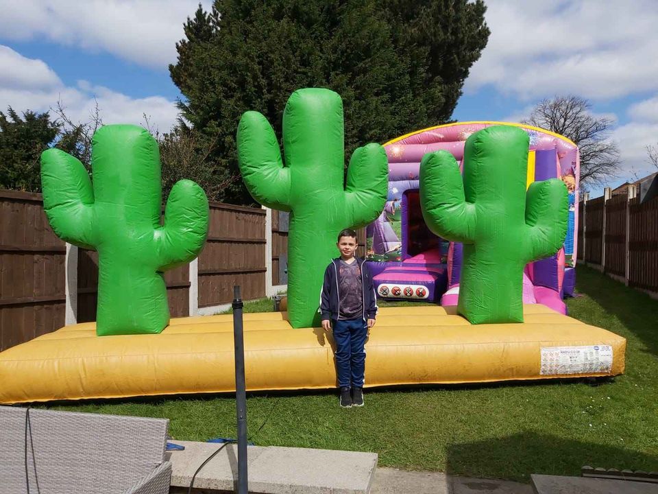 Cactus Ring-Toss Hire