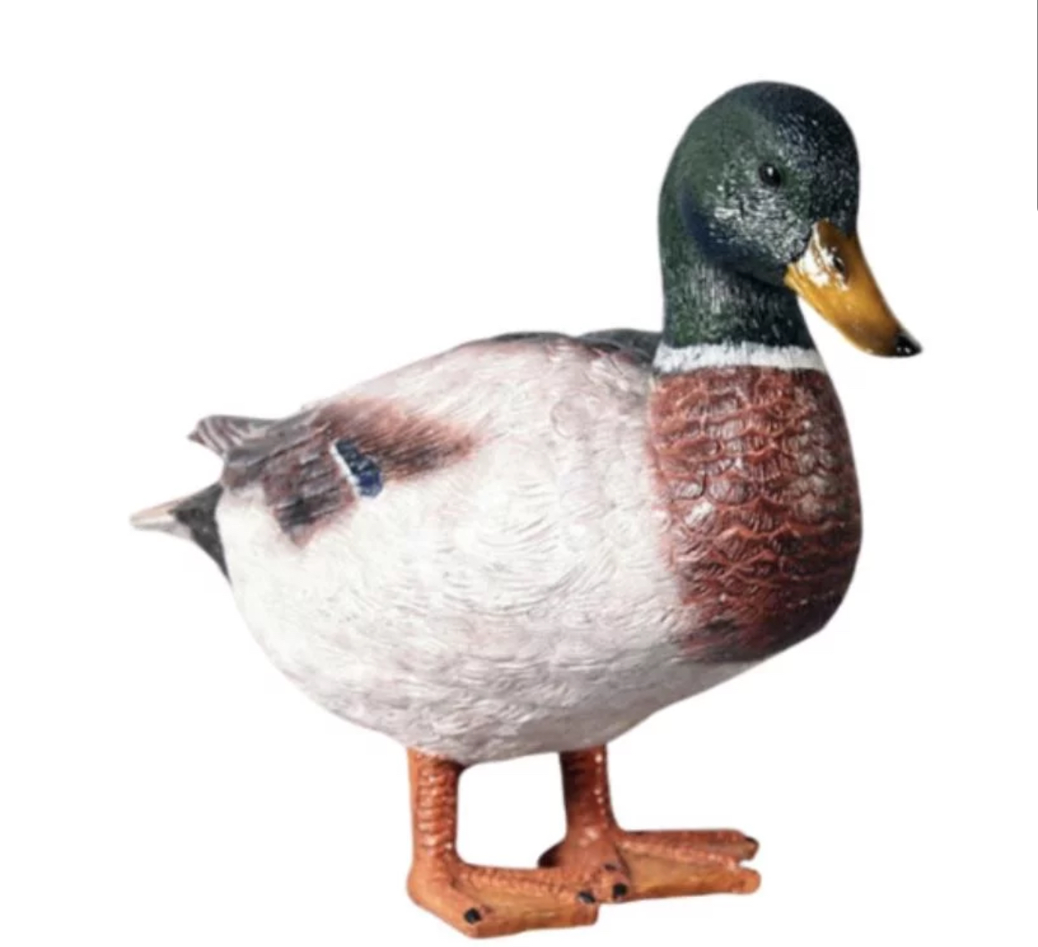 Hire Duck Prop | Perfect for Farmyard-Themed Events