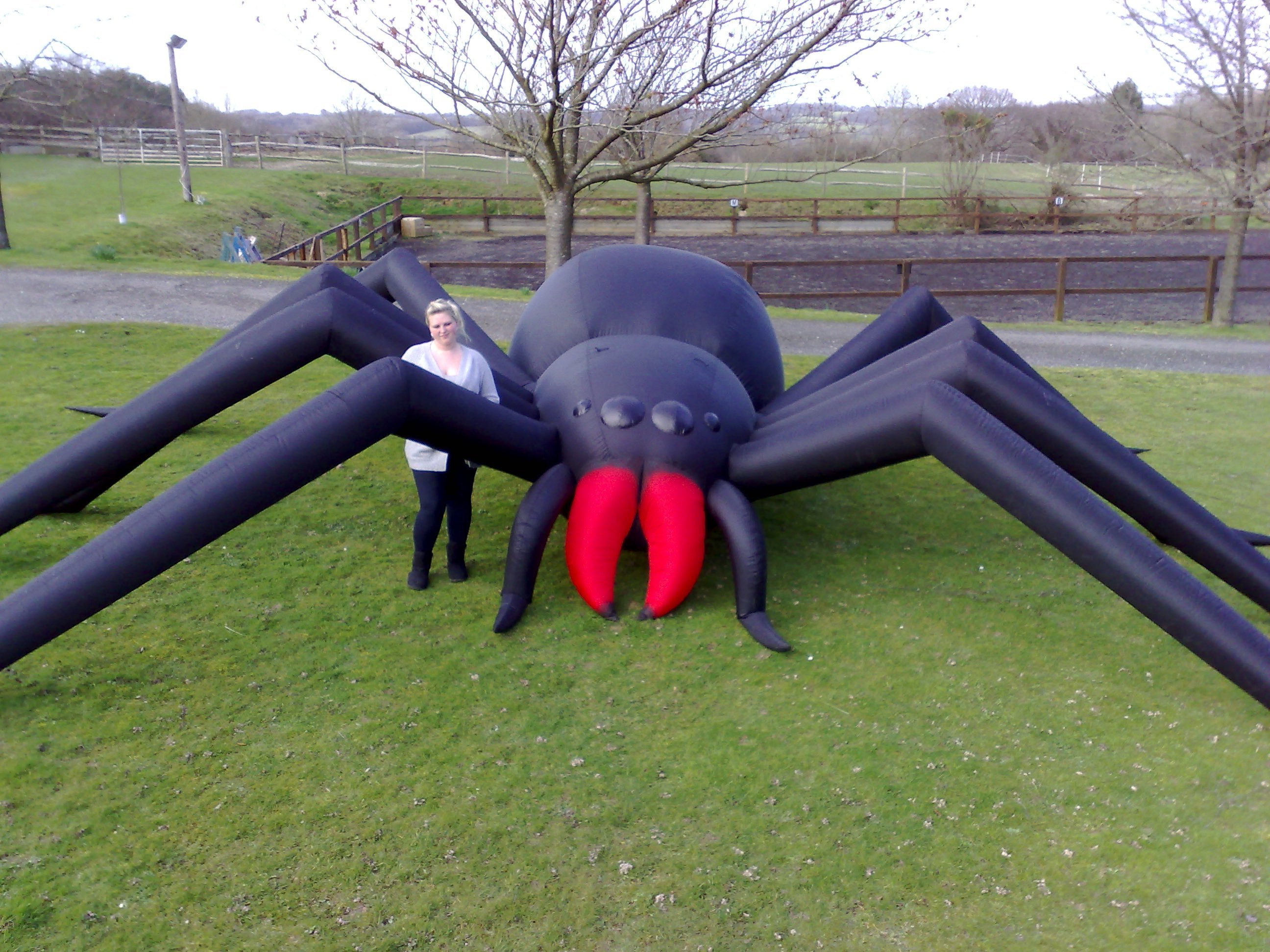 Spider Inflatable 30ft x 25ft - Bouncy Castle Hire in Kent, East Sussex ...