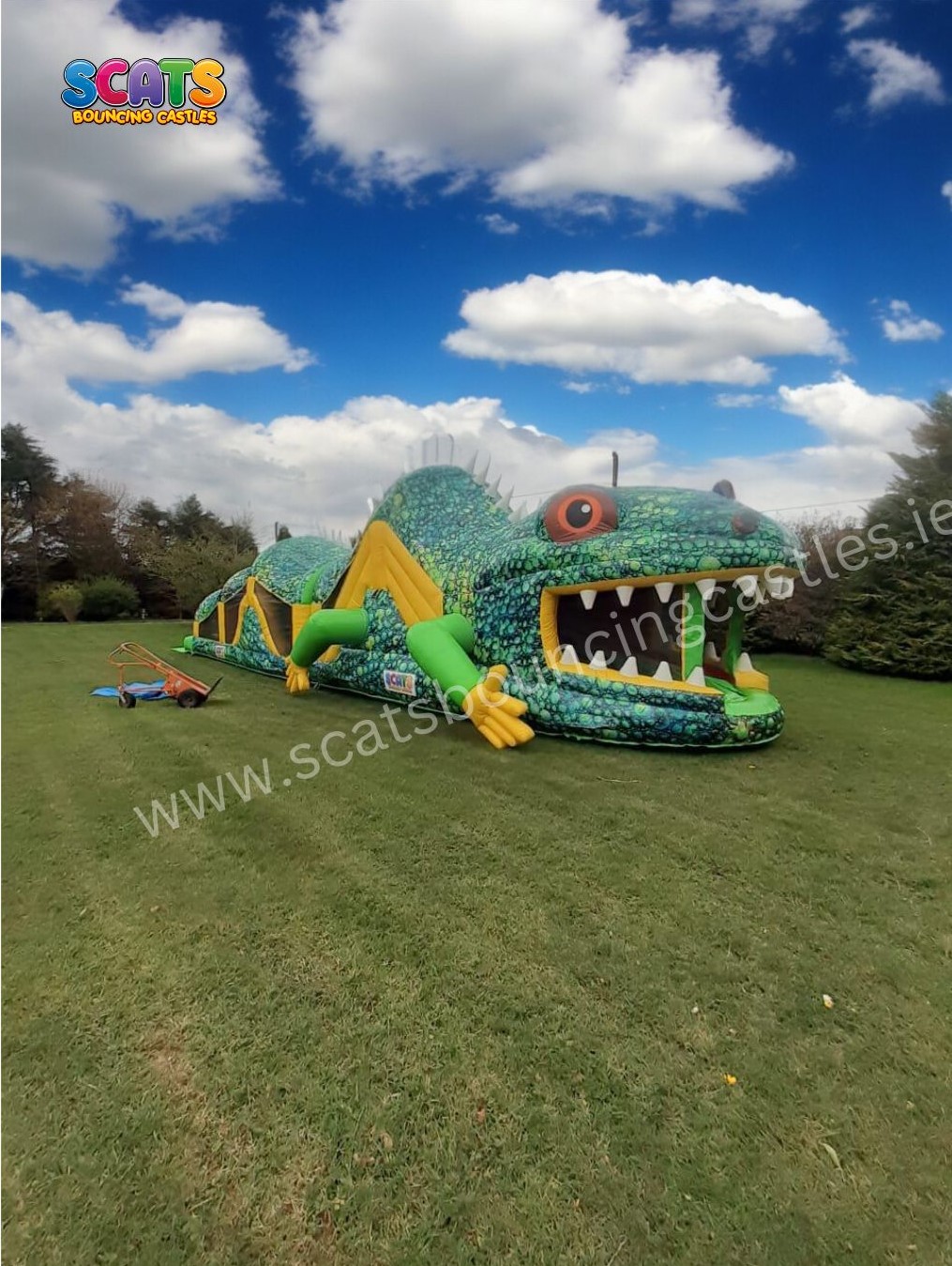 Scaly Design Lizard Obstacle Course - SBC144 - Hire in Wexford | Scats ...