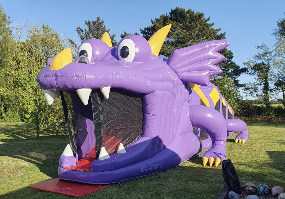 Purple Dragon Obstacle Course - Bouncy Castle Hire in Wexford Town ...