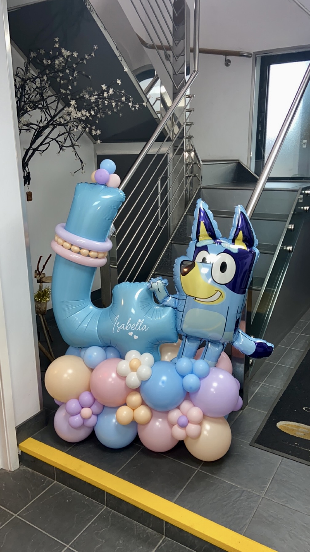 Bluey Theme - Hire, Balloon Displays, Bouncy Castle, Soft Play in Poole ...