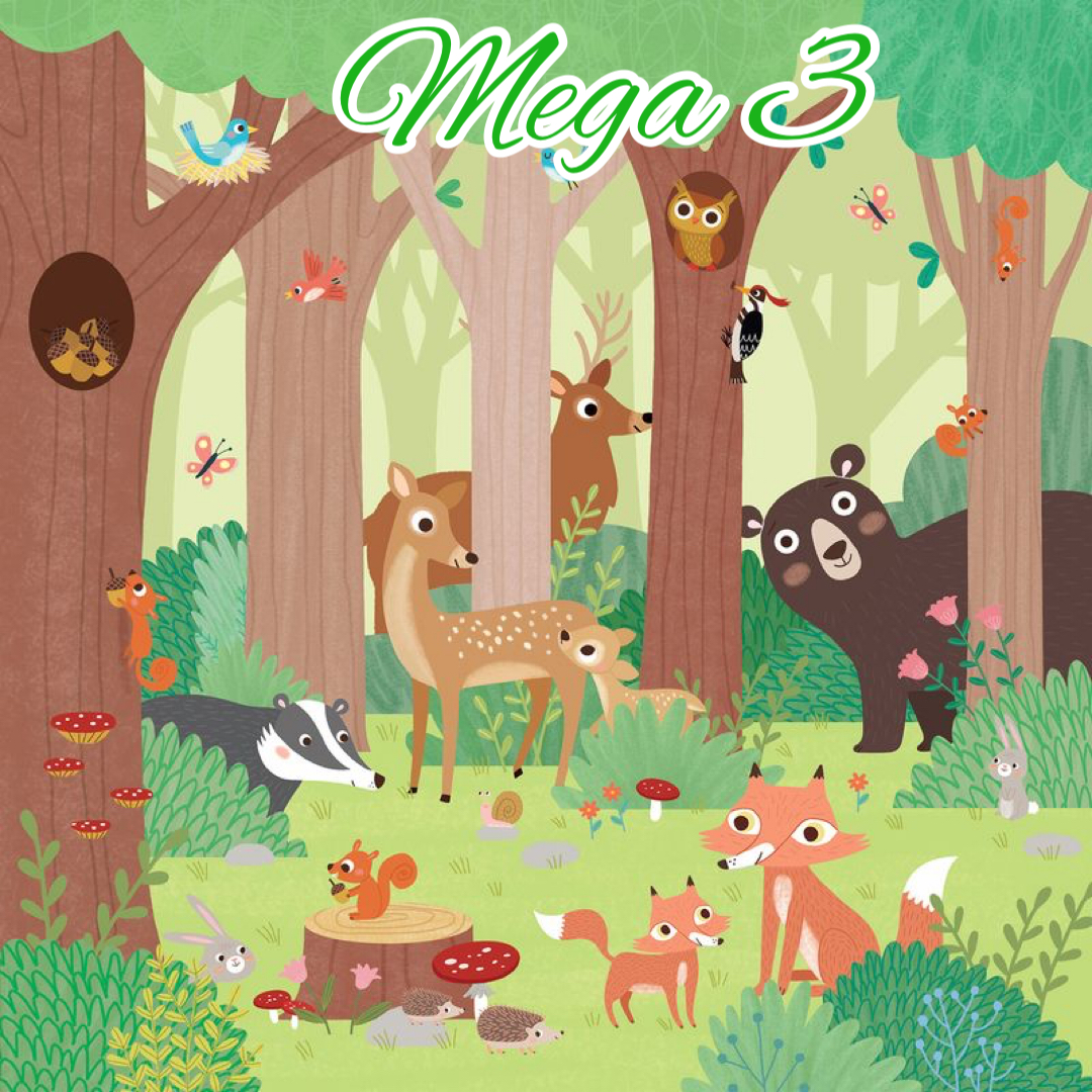 Mega Party Packages - Bouncy Castle Hire in Aylesbury, Buckinghamshire