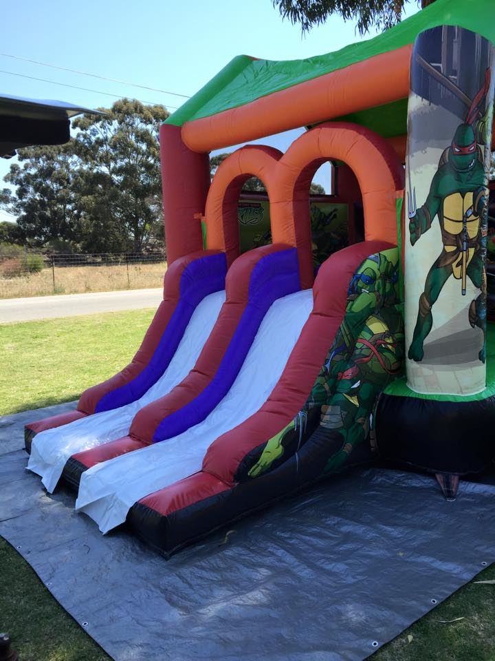 Ninja Turtles Double Slide Combo - Bouncy Castle Hire and Water Slides ...
