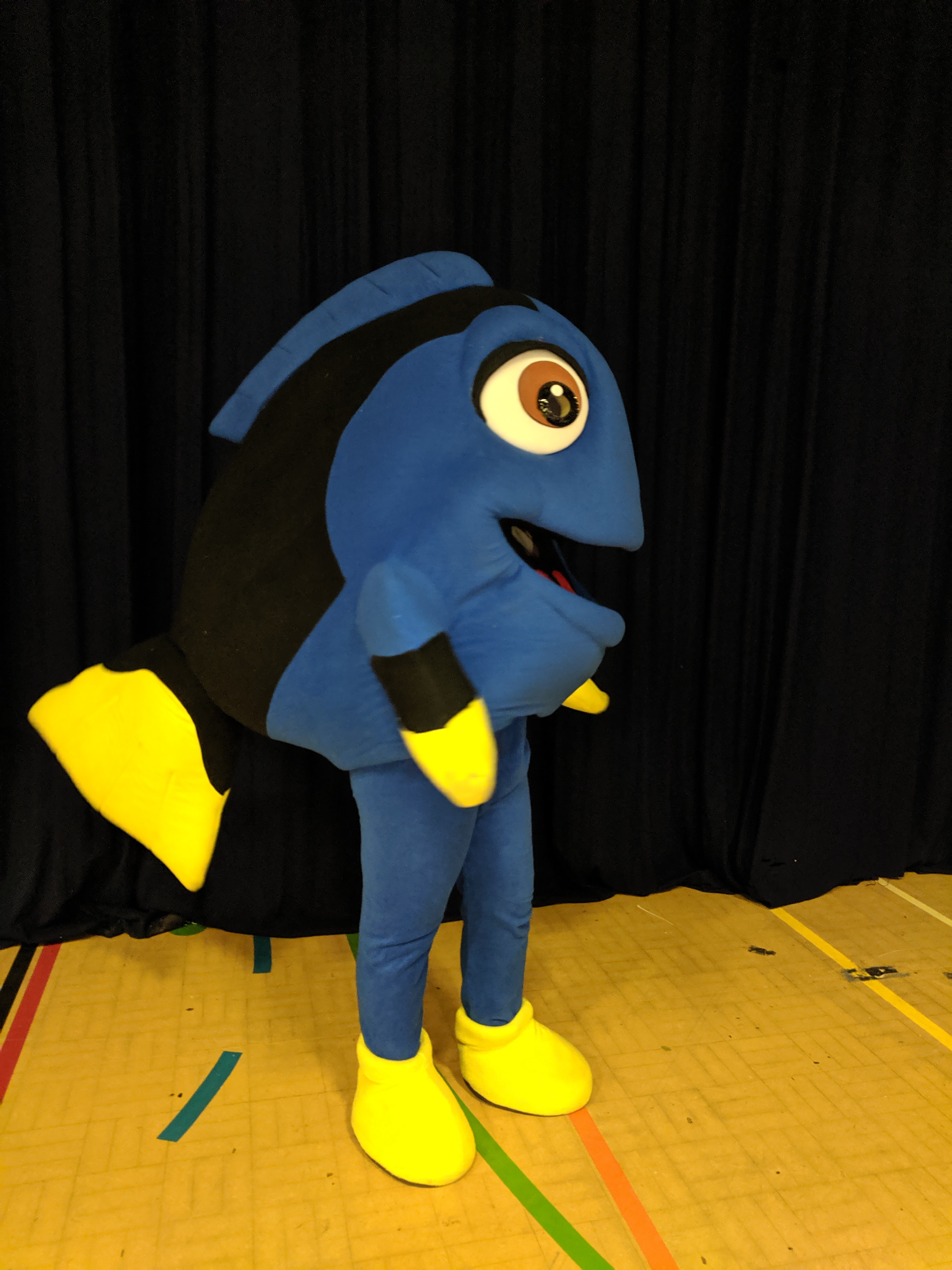 Mascot Appearances - Bouncy Castle Hire in Ashford, Aldington, Appledore