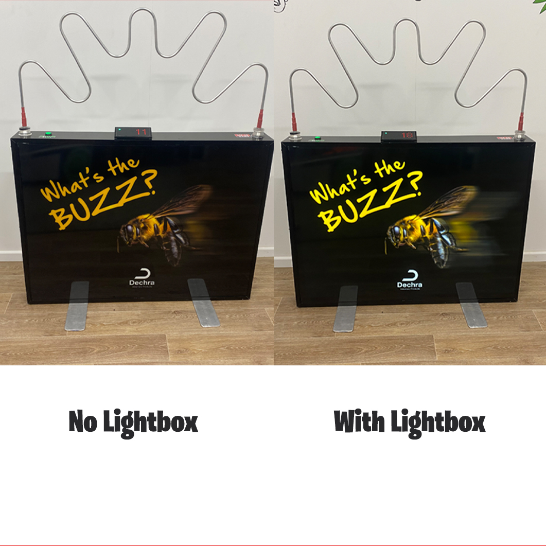 Giant Buzz Wire Hire Australia with Branding