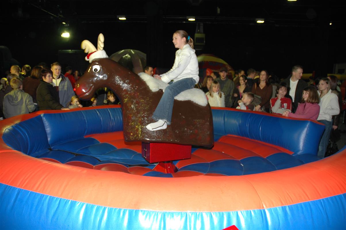 Rodeo Reindeer Hire, Christmas Rodeo Reindeer Rental, UK
