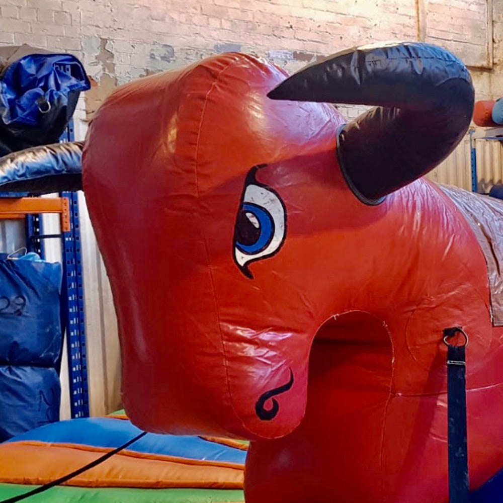 15ft x 15ft Inflatable Bull Bungee *88* - Bouncy Castles Soft Play and ...