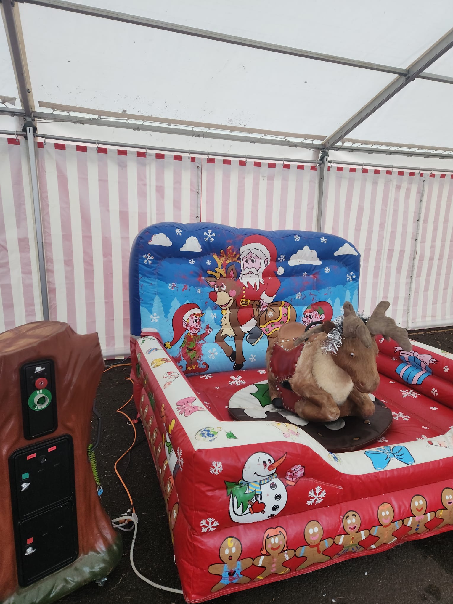 Childrens Rodeo Reindeer Hire,Christmas Rodeo Reindeer Rental,London