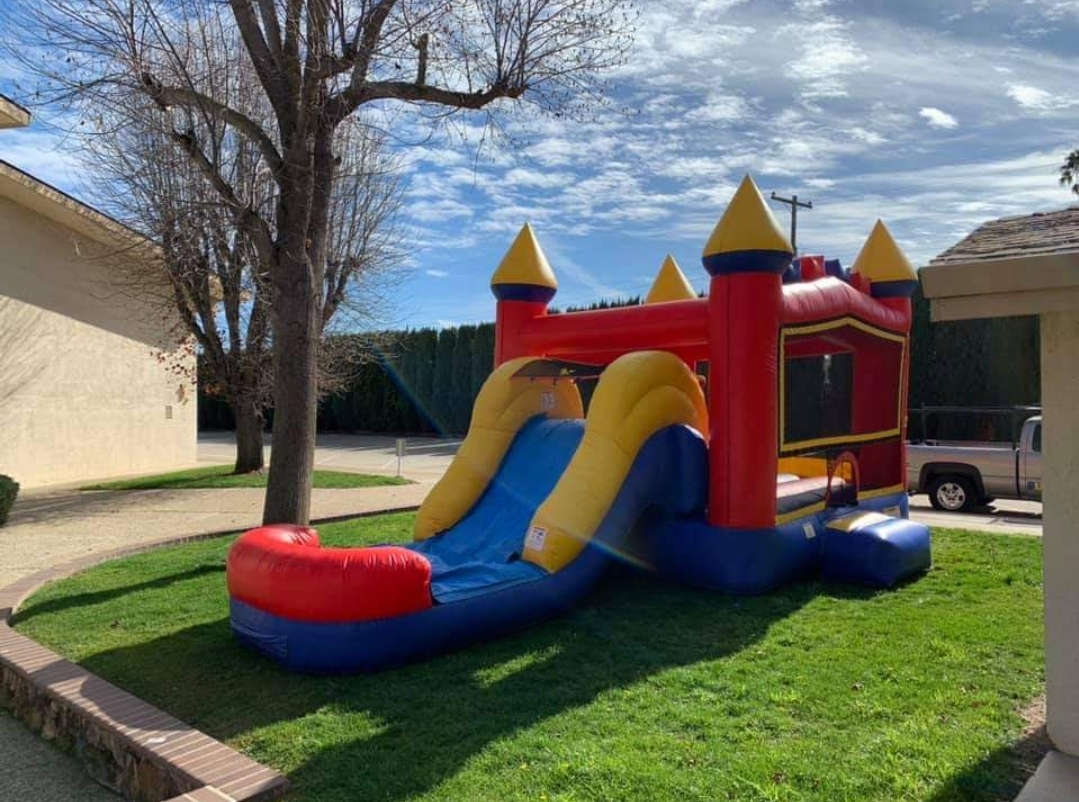 Modern Castle Bounce & Slide - Bounce House Rentals in Danville | Magic ...