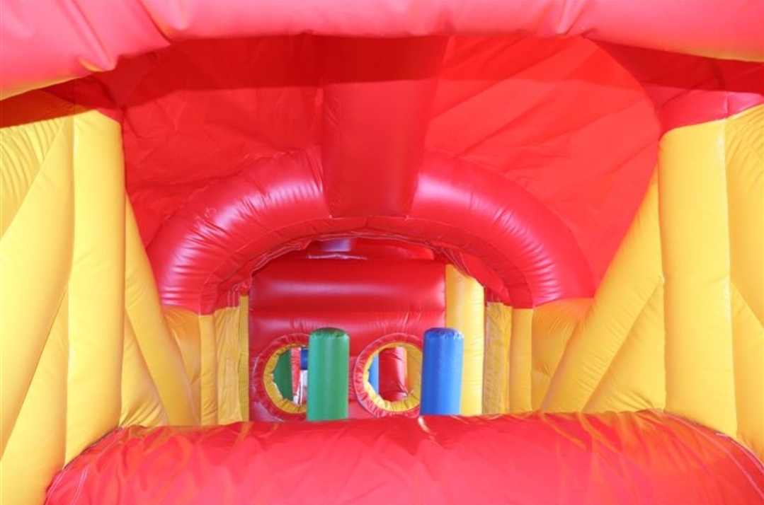 'Larry the Lizard' Obstacle Course - Hire in Co Westmeath | ABC Bouncy ...