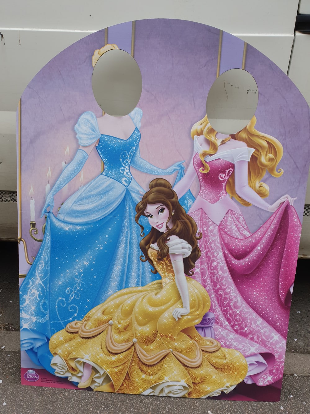 Princess Cardboard Cutout