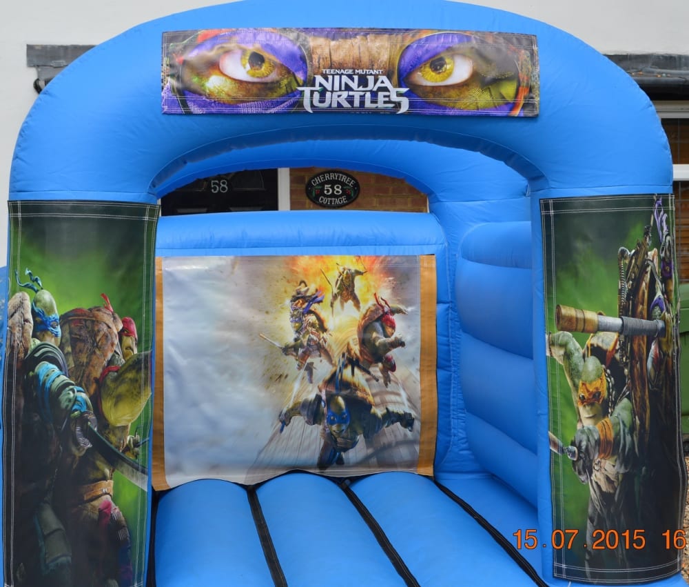 Teenage Ninja Turtles Castle