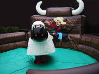 All Our Rodeo Rides – Hire in Essex, London & Nationwide