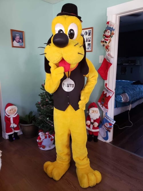 Pluto Costume - Best Party Rentals and Inflatables service in Ontario ...
