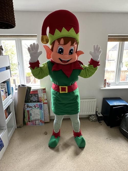 Buddy the Elf - Bouncy Castle Hire and Kids Party Packages in South ...