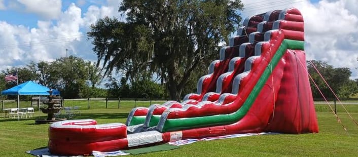 Blue Bounce House with Dual Lane Slide - event in FL